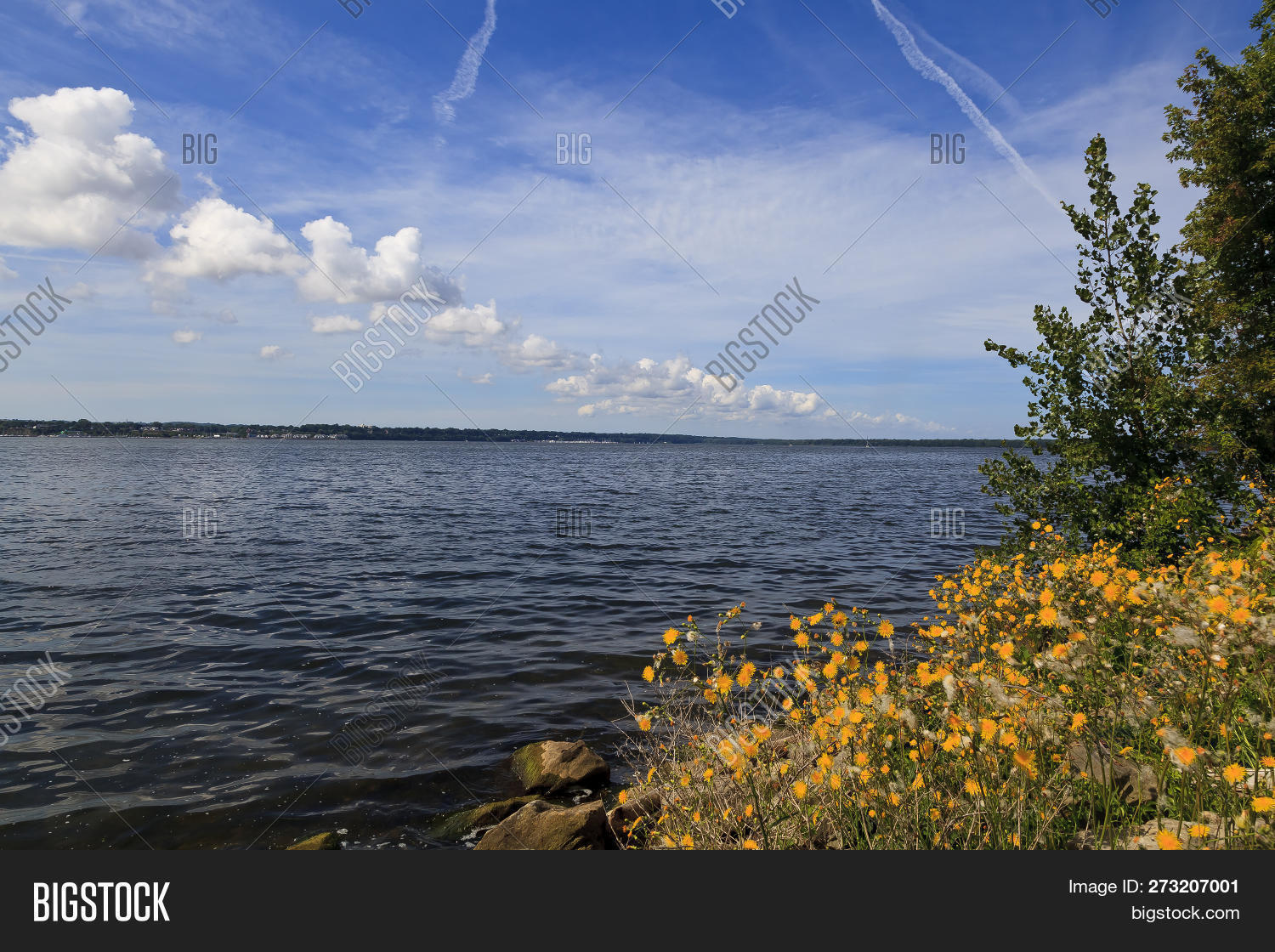 Lake Erie Summer Image & Photo (Free Trial) | Bigstock