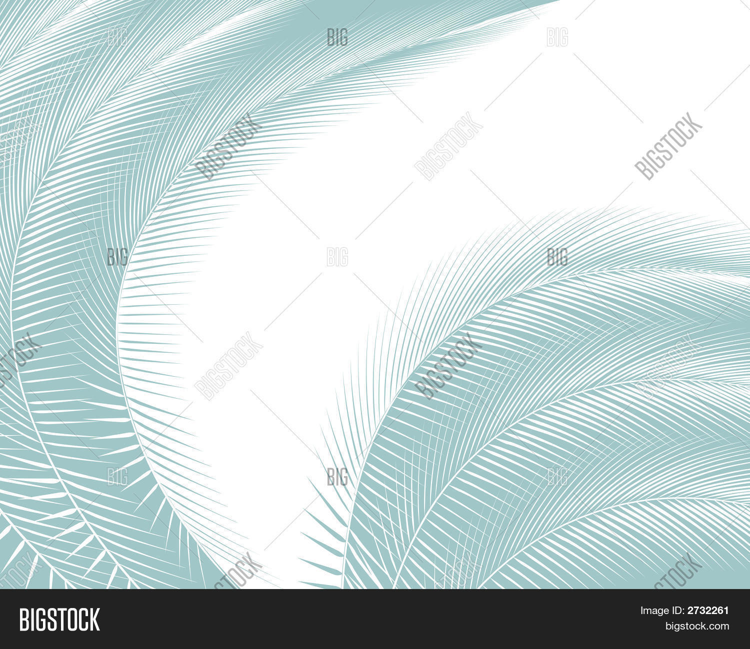 Bending Feathers Vector & Photo (Free Trial) | Bigstock