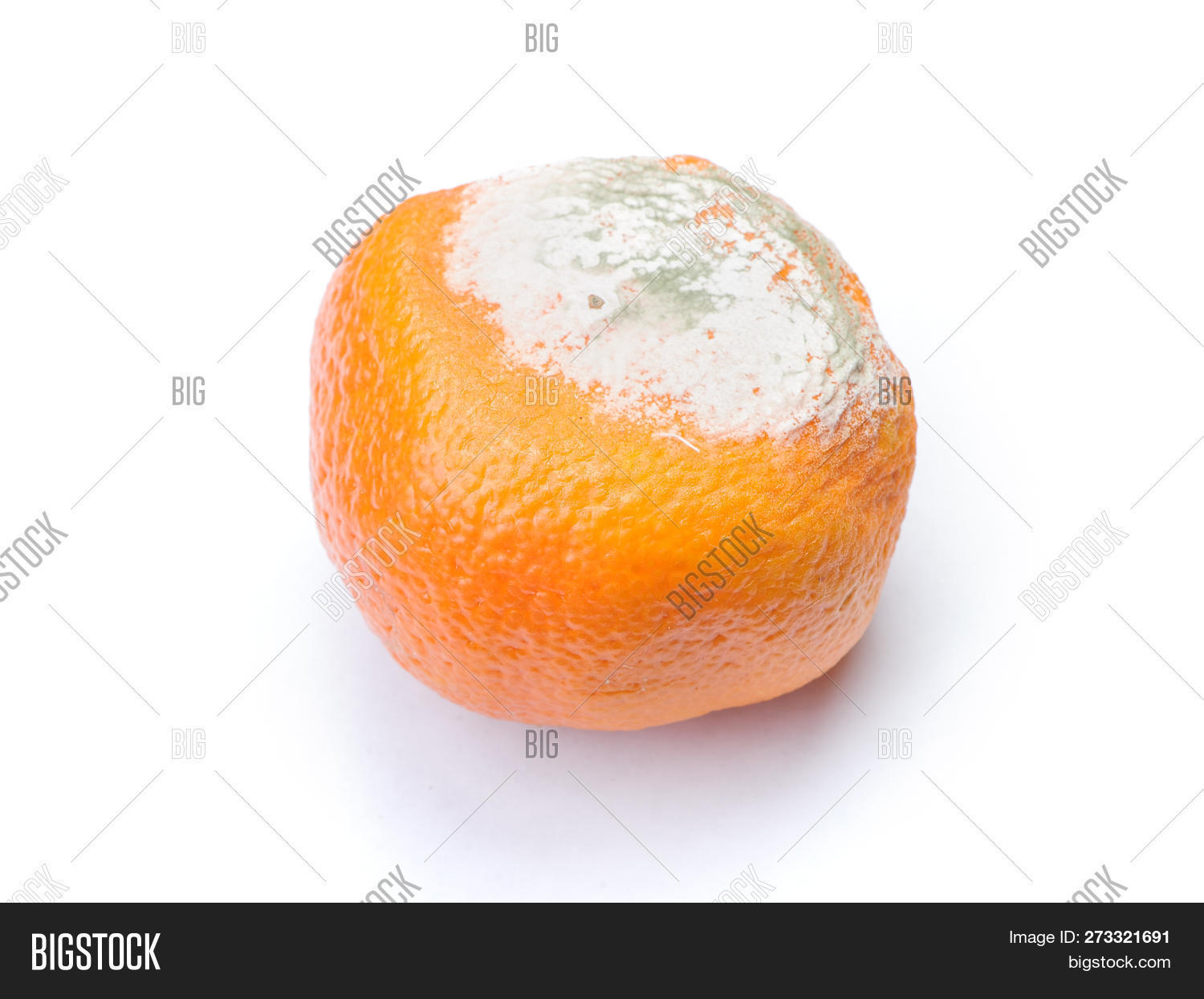 Mouldy Rotten Mandarin Image & Photo (Free Trial) | Bigstock