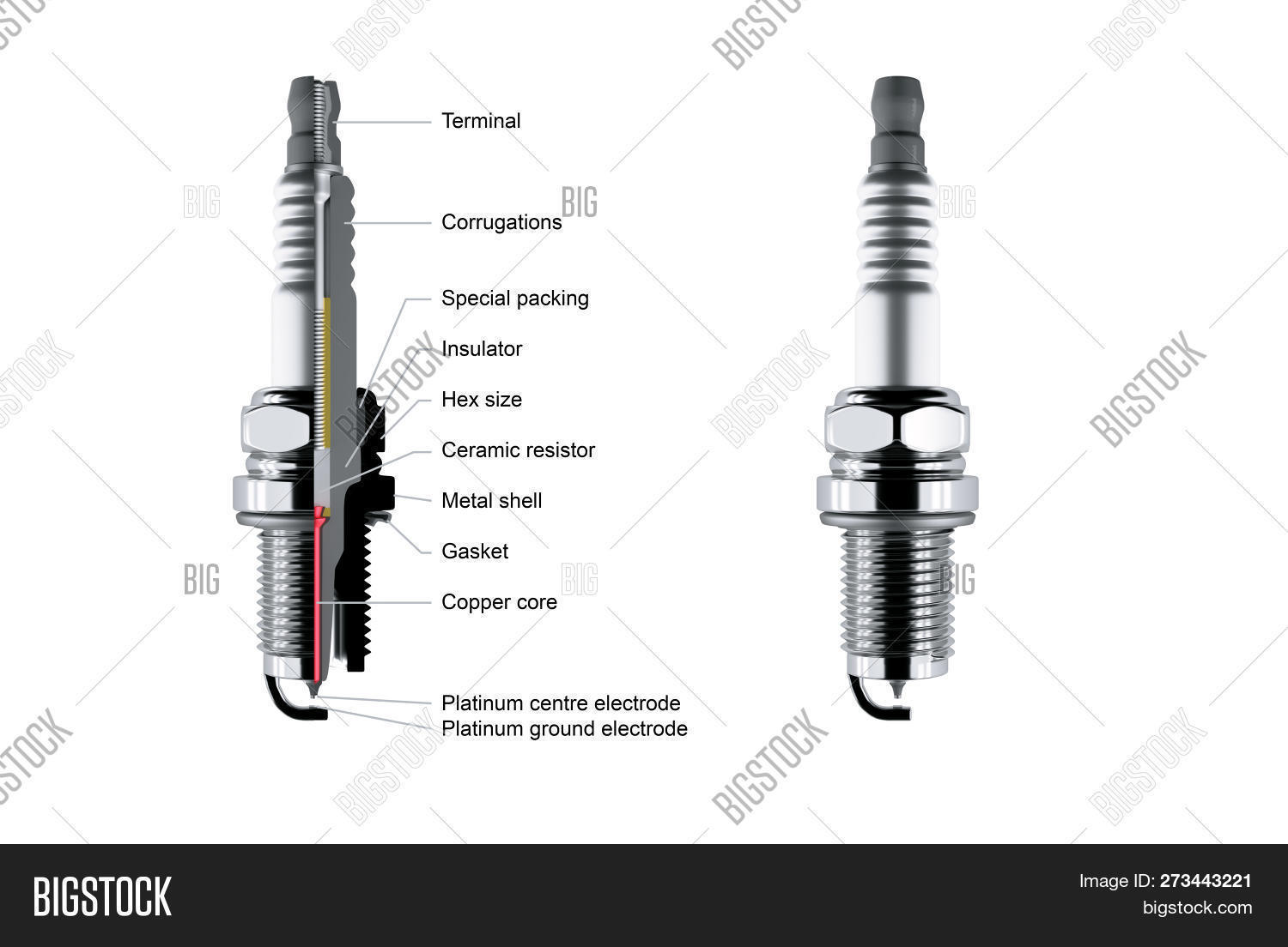 Spare Parts Cutaway Image & Photo (Free Trial) | Bigstock