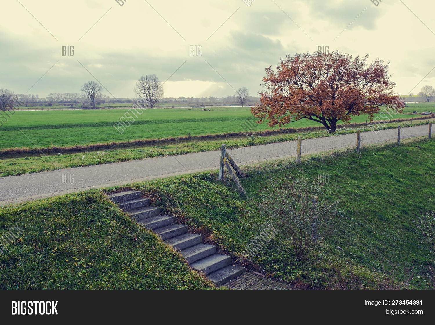 Waal River Dike Image & Photo (Free Trial) | Bigstock