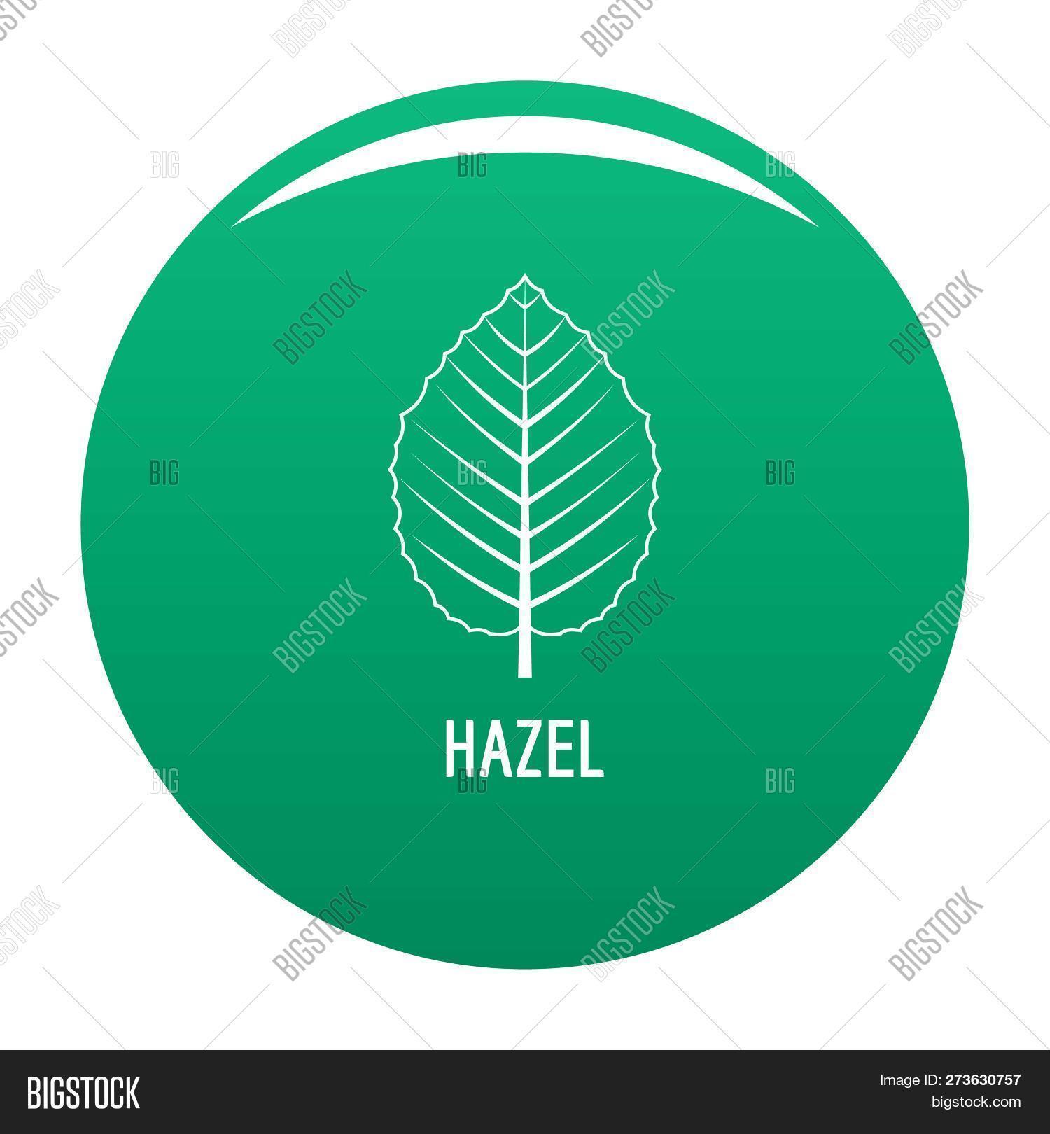 Hazel Leaf Icon. Image & Photo (Free Trial) | Bigstock