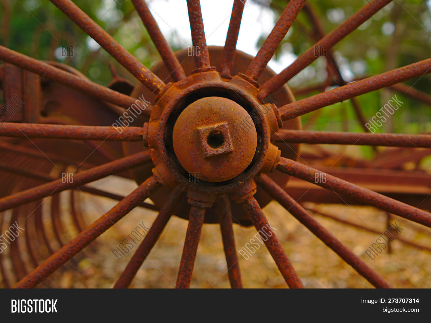Center View Old Image & Photo (Free Trial) | Bigstock