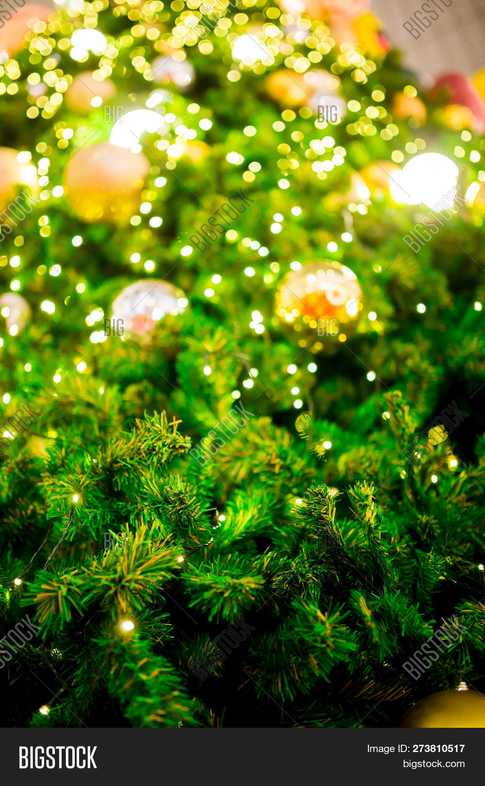 Shine Christmas Tree Image & Photo (Free Trial) | Bigstock