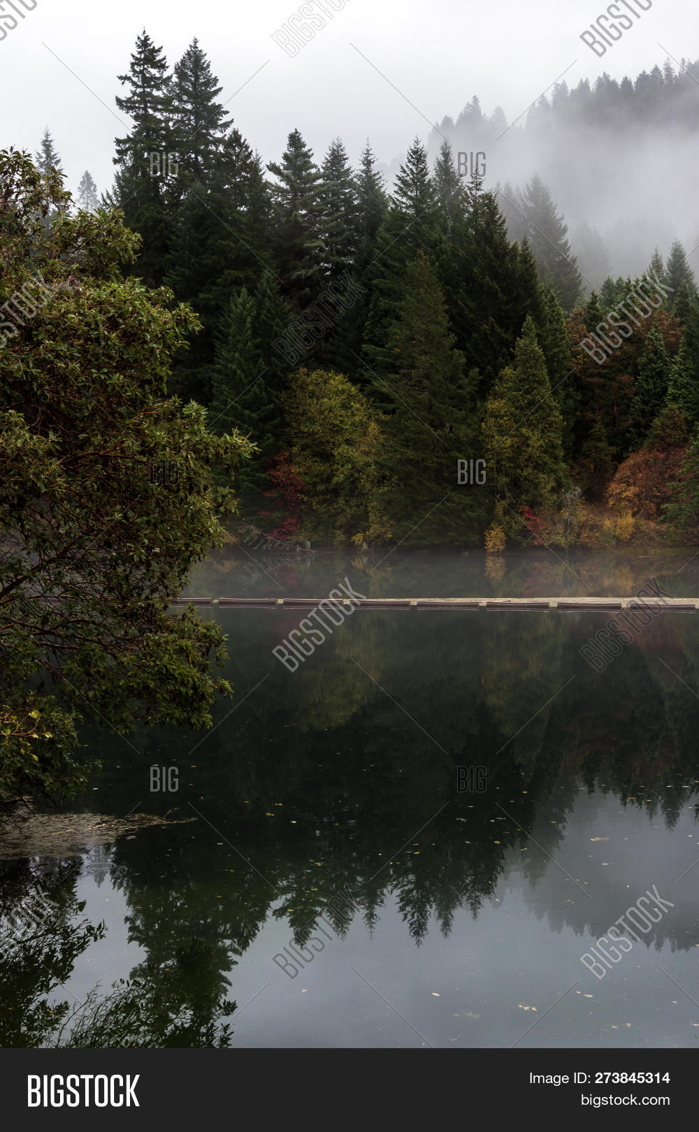 Moody Autumn Day Image & Photo (Free Trial) | Bigstock