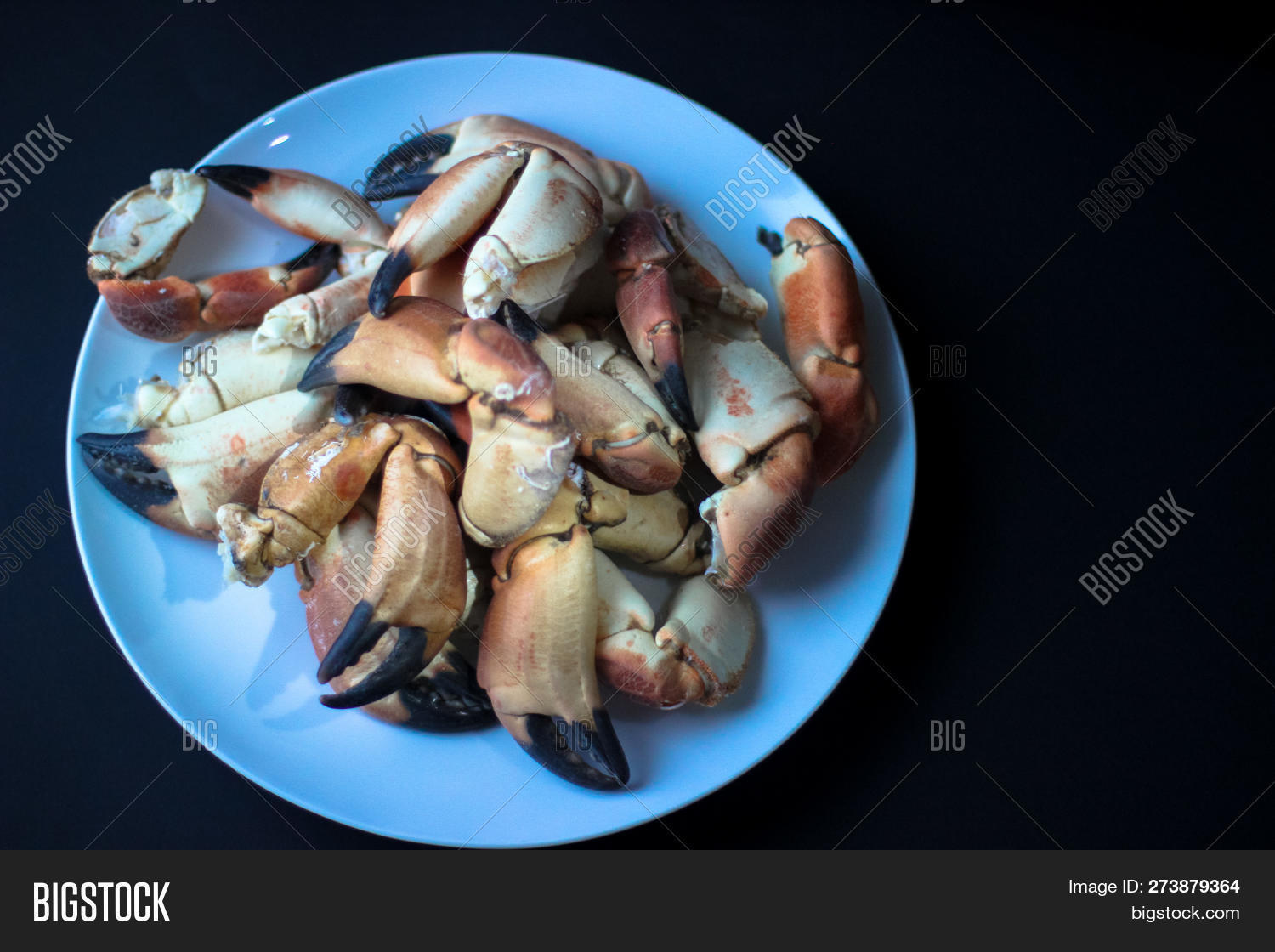 Crab Claws Atlantic Image & Photo (Free Trial) | Bigstock