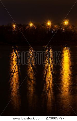 Tree Shadows Night Image & Photo (Free Trial) | Bigstock