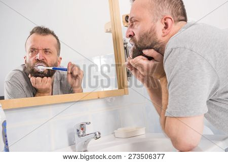 Adult Man Brushing His Image & Photo (Free Trial) | Bigstock