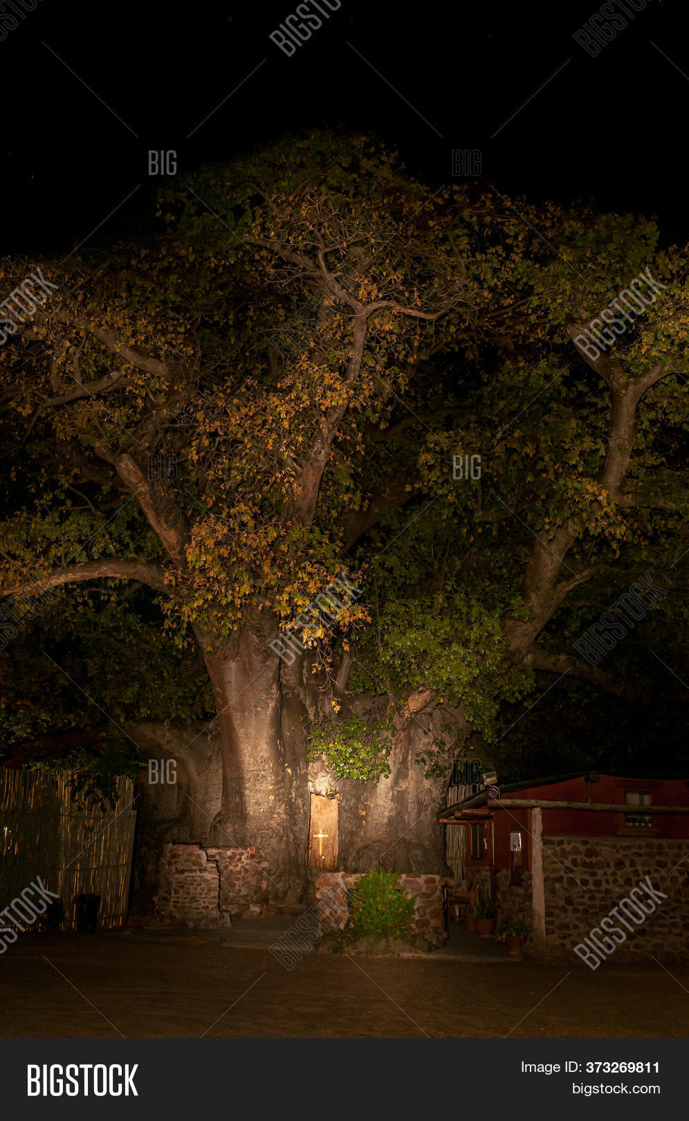 Outapi, Namibia - May Image & Photo (Free Trial) | Bigstock