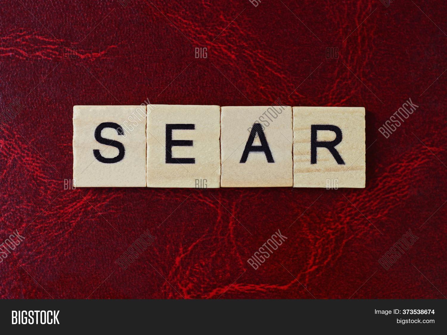 Text Word Sear Gray Image & Photo (Free Trial) | Bigstock