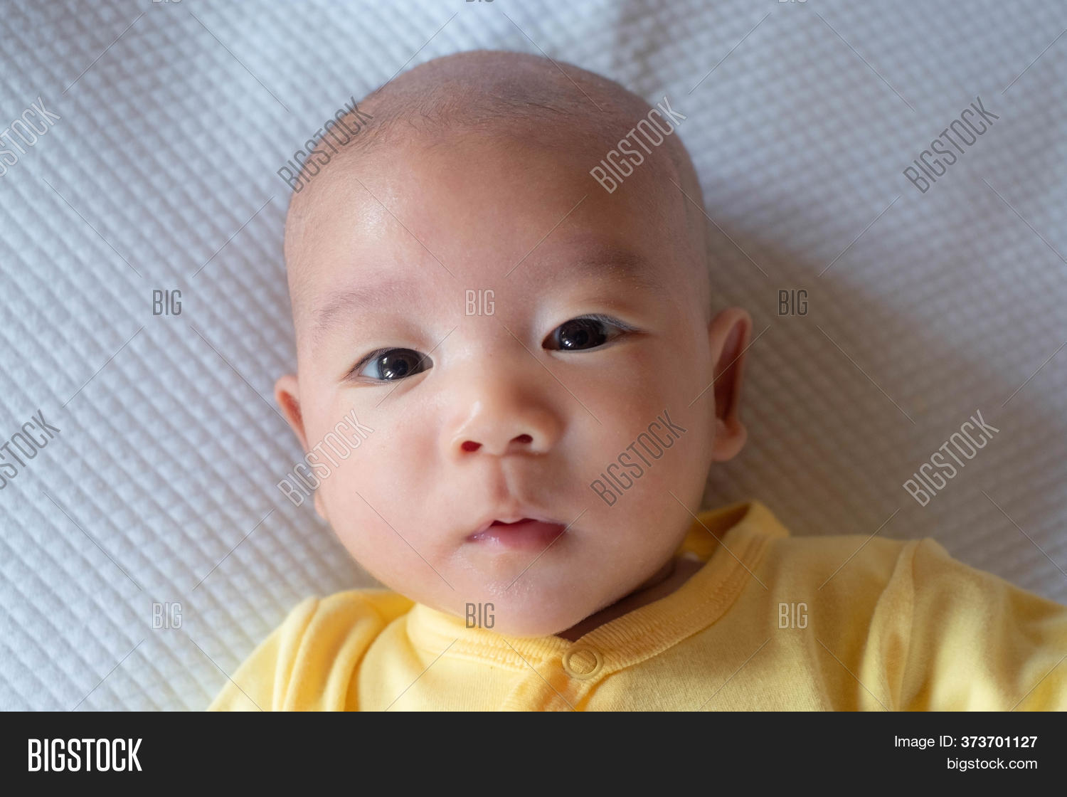 Asian Baby Faces
