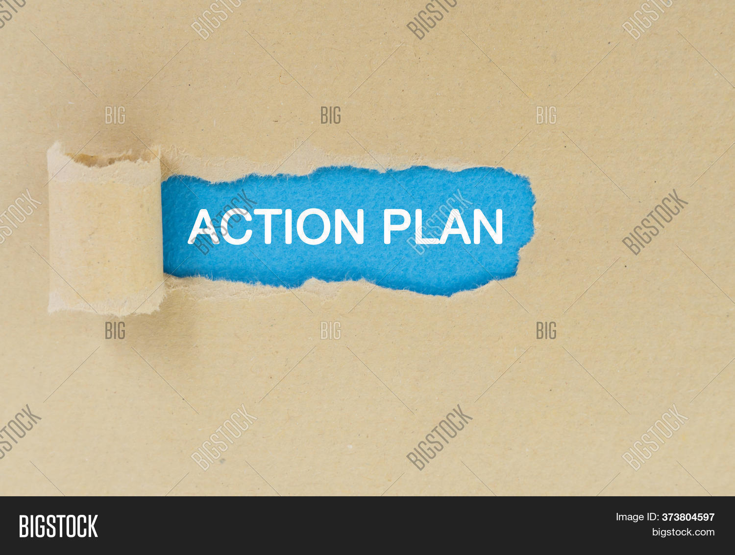 Action Plan Text On Image & Photo (Free Trial) | Bigstock