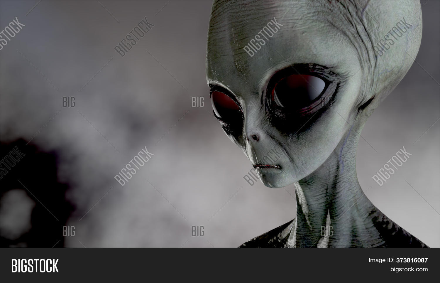 Scary Gray Alien Walks Image & Photo (Free Trial) | Bigstock