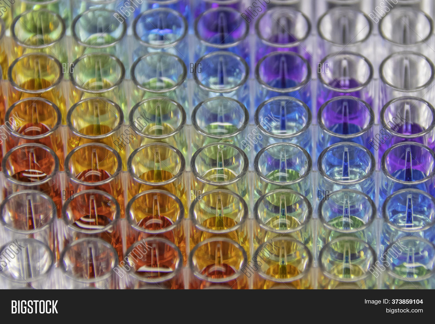 Closeup 96 Multiwell Image & Photo (Free Trial) | Bigstock