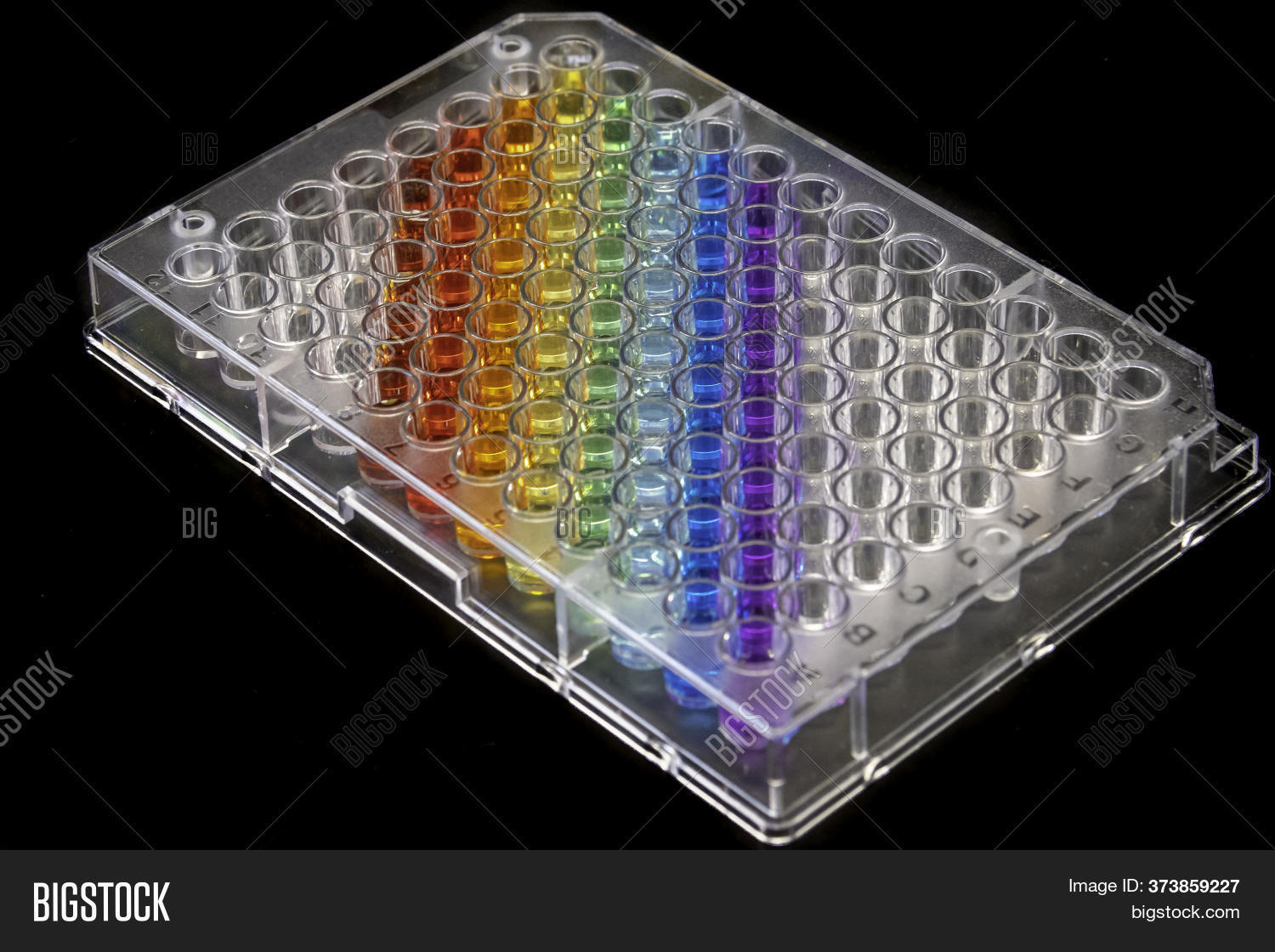 Closeup 96 Multiwell Image & Photo (Free Trial) | Bigstock