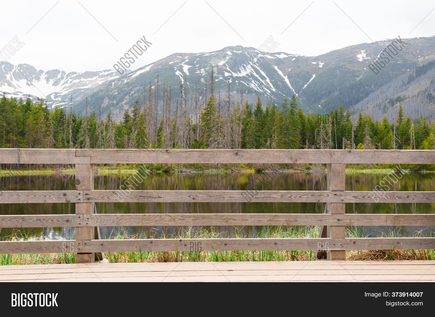 Old Brown Wood Fence Image & Photo (Free Trial) | Bigstock
