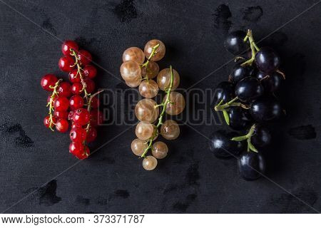 Three Types Currants Image & Photo (Free Trial) | Bigstock
