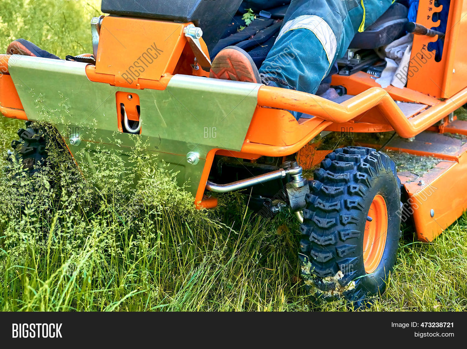 Professional Grass Image & Photo (Free Trial) | Bigstock
