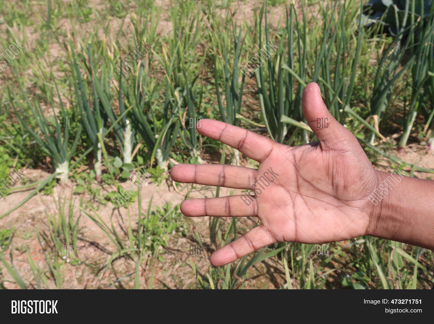 Finger Sign Deaf Image & Photo (Free Trial) | Bigstock