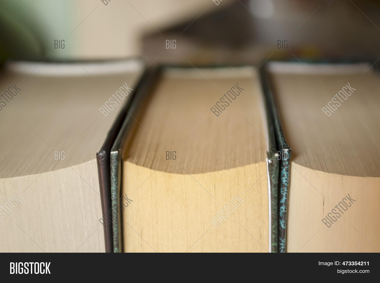 Book Stubs Close. Image & Photo (Free Trial) | Bigstock