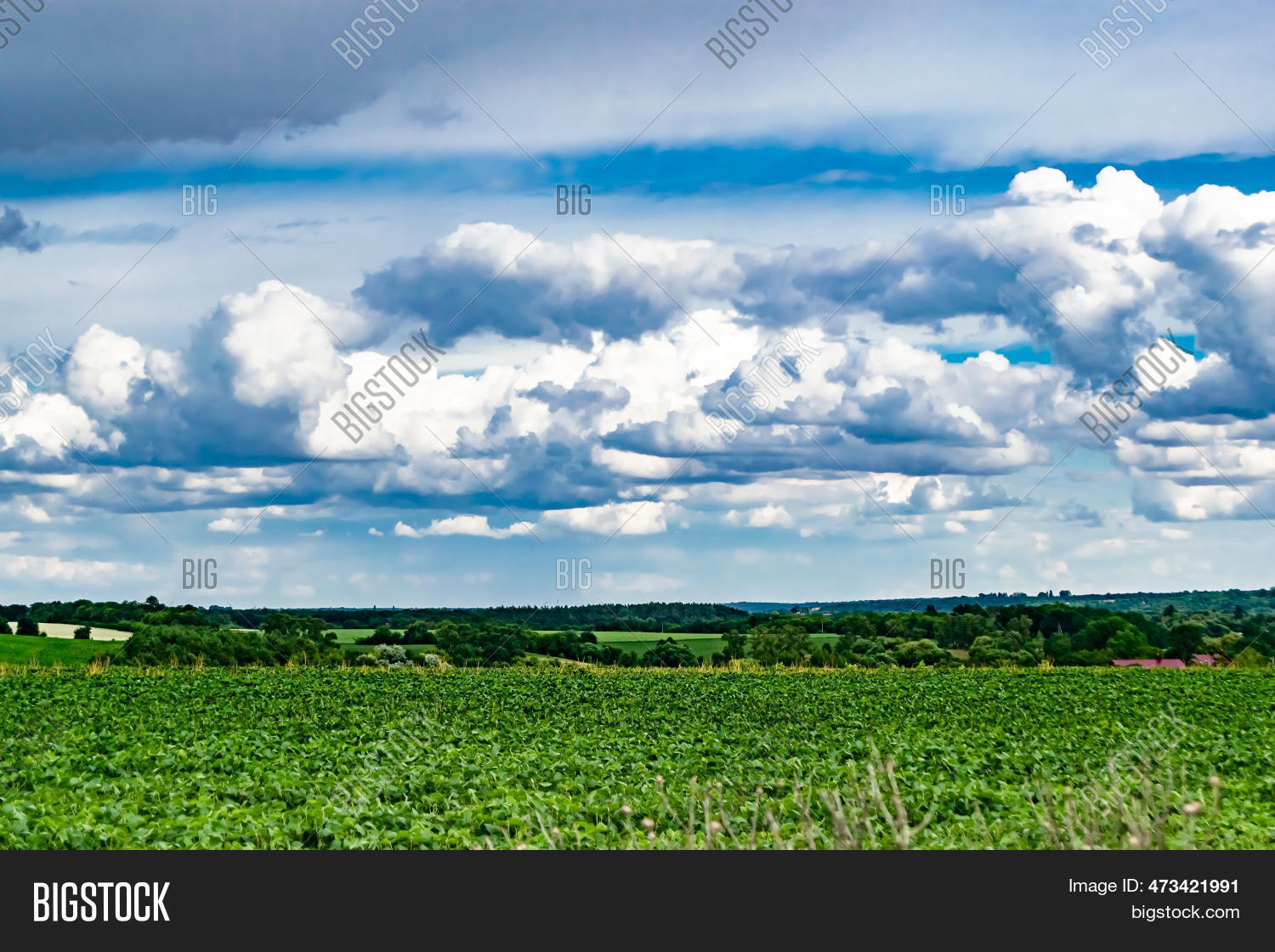 Beautiful Horizon Image & Photo (Free Trial) | Bigstock