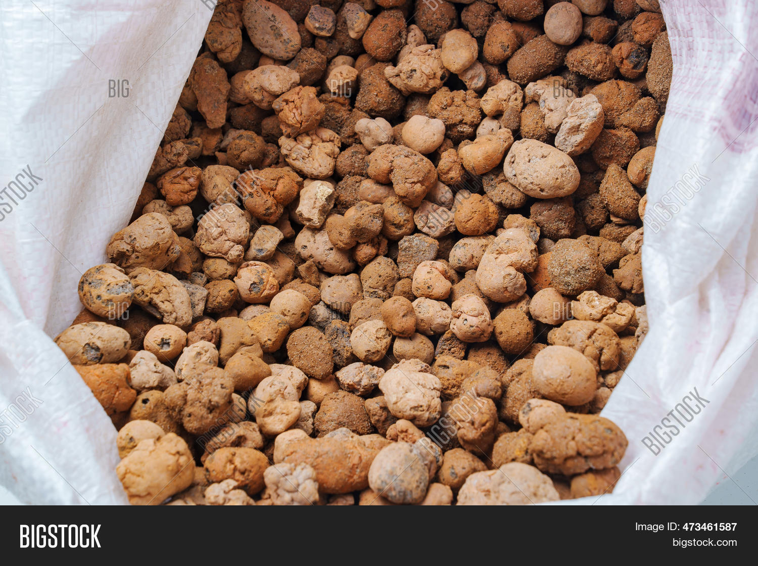 Expanded Clay. Small Image & Photo (Free Trial) | Bigstock