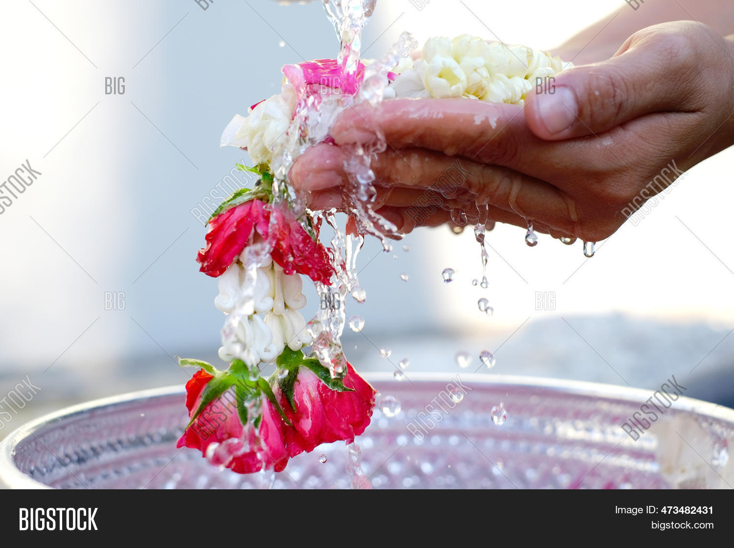Hand Young Woman Pour Image & Photo (Free Trial) | Bigstock