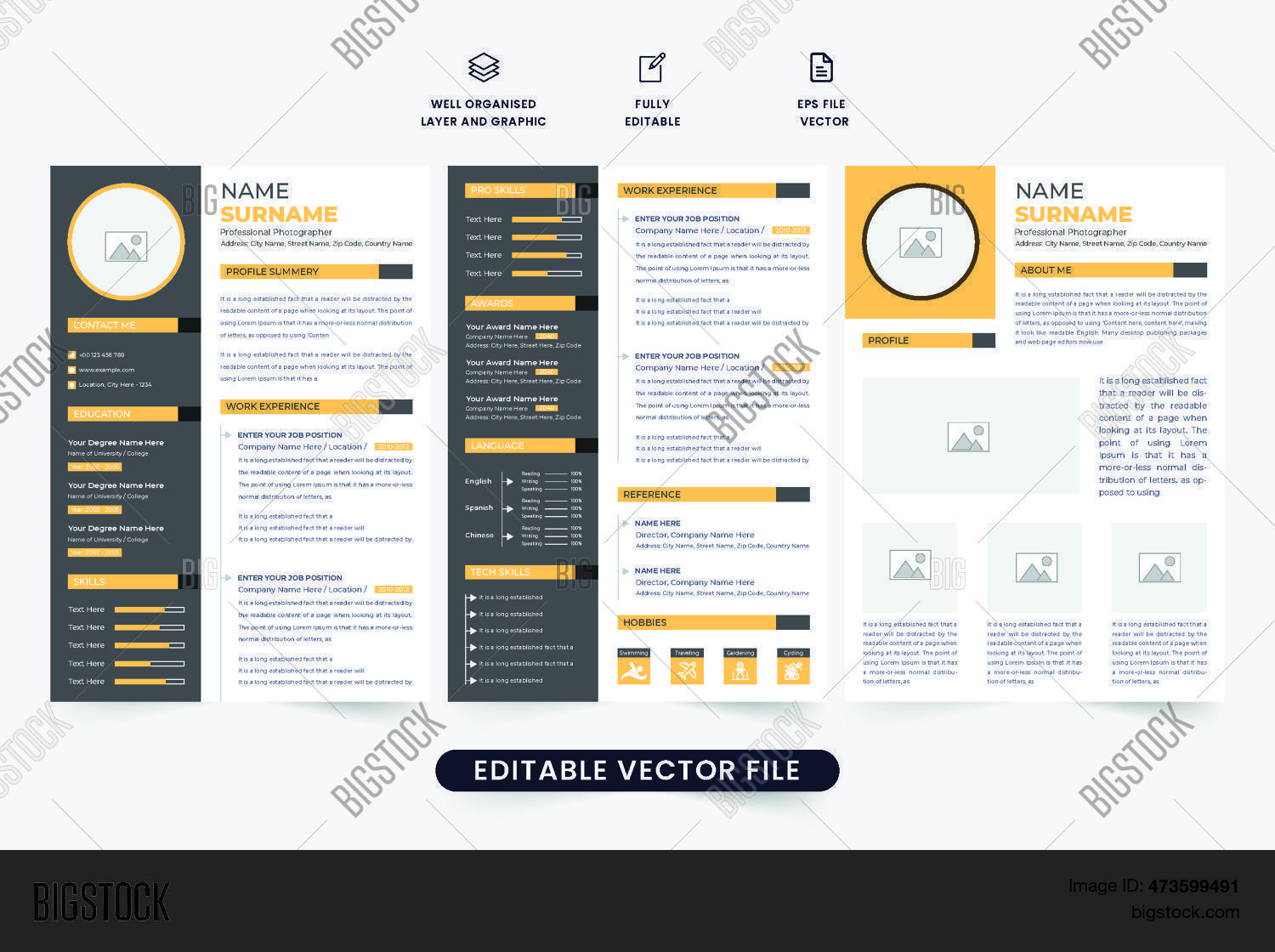 Professional Cv Vector & Photo (Free Trial) | Bigstock