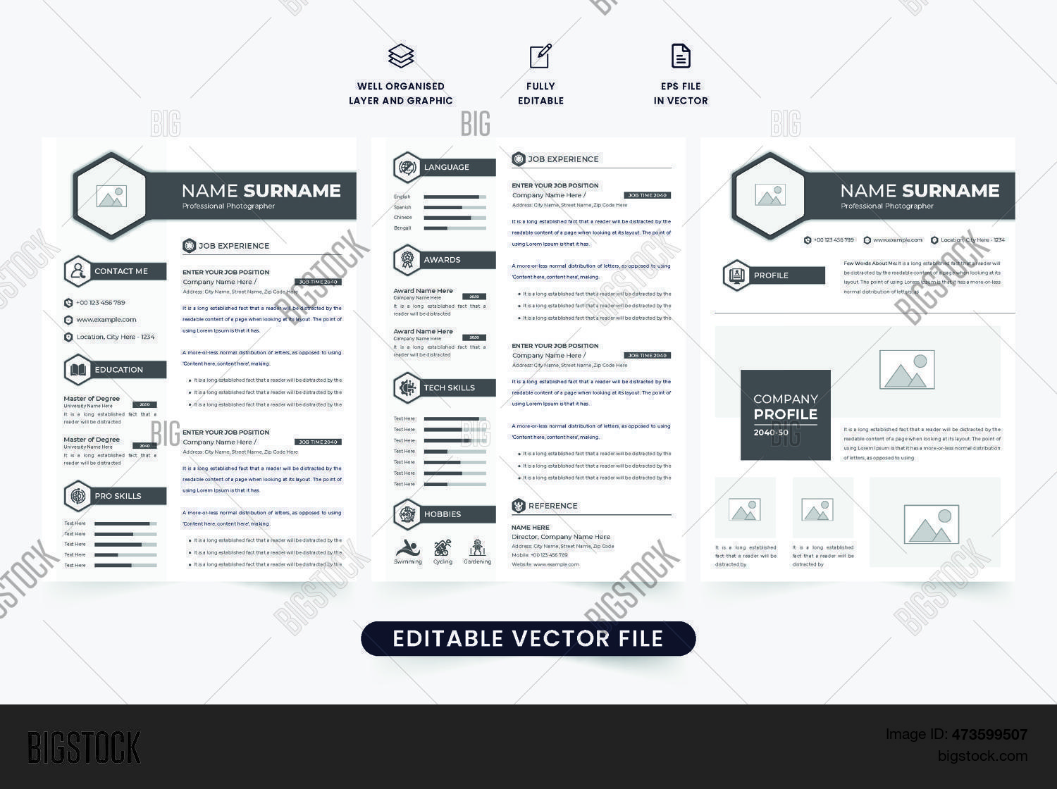Creative Cv Template Vector & Photo (Free Trial) | Bigstock