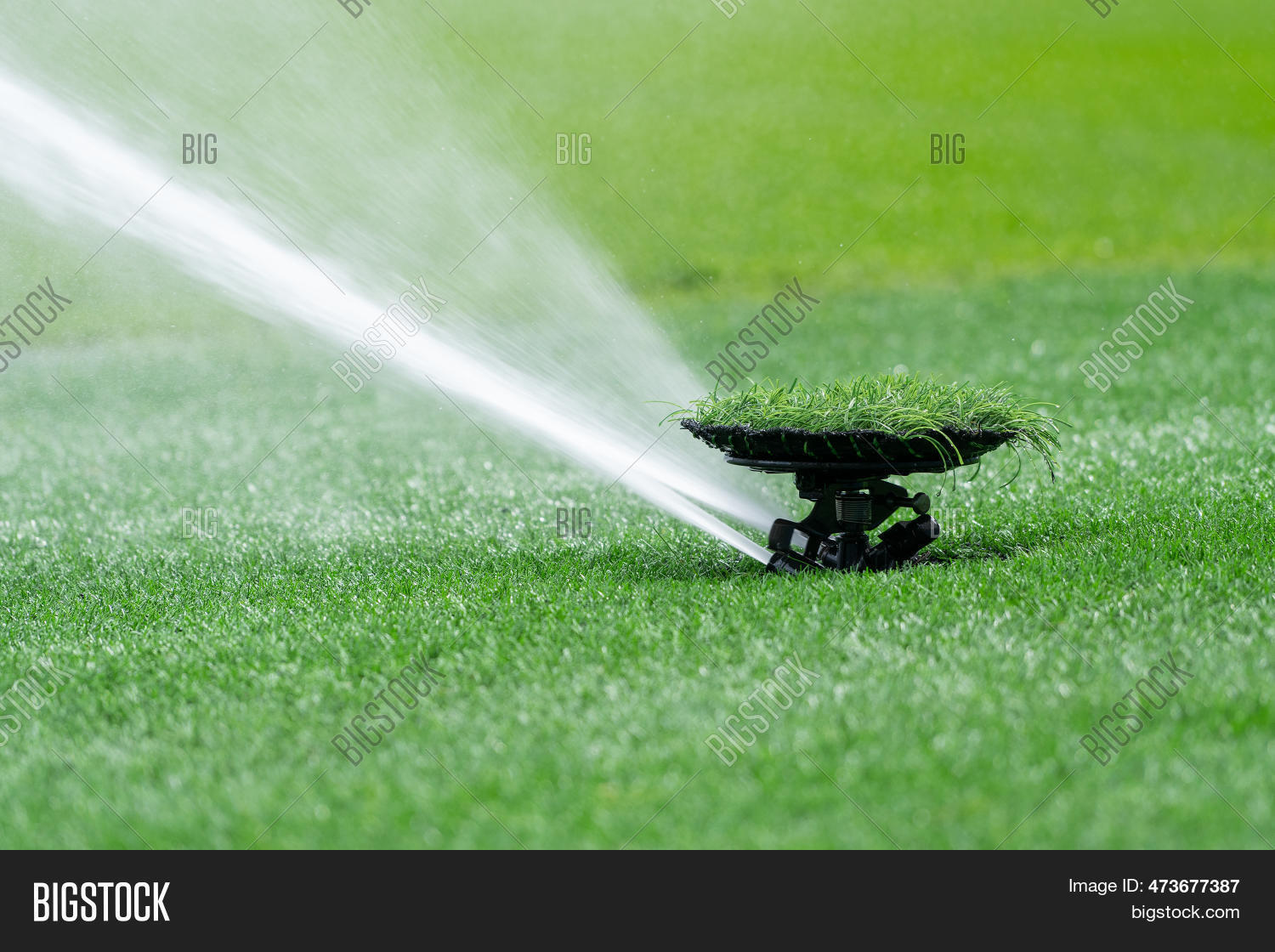 Football Turf Image & Photo (Free Trial) | Bigstock