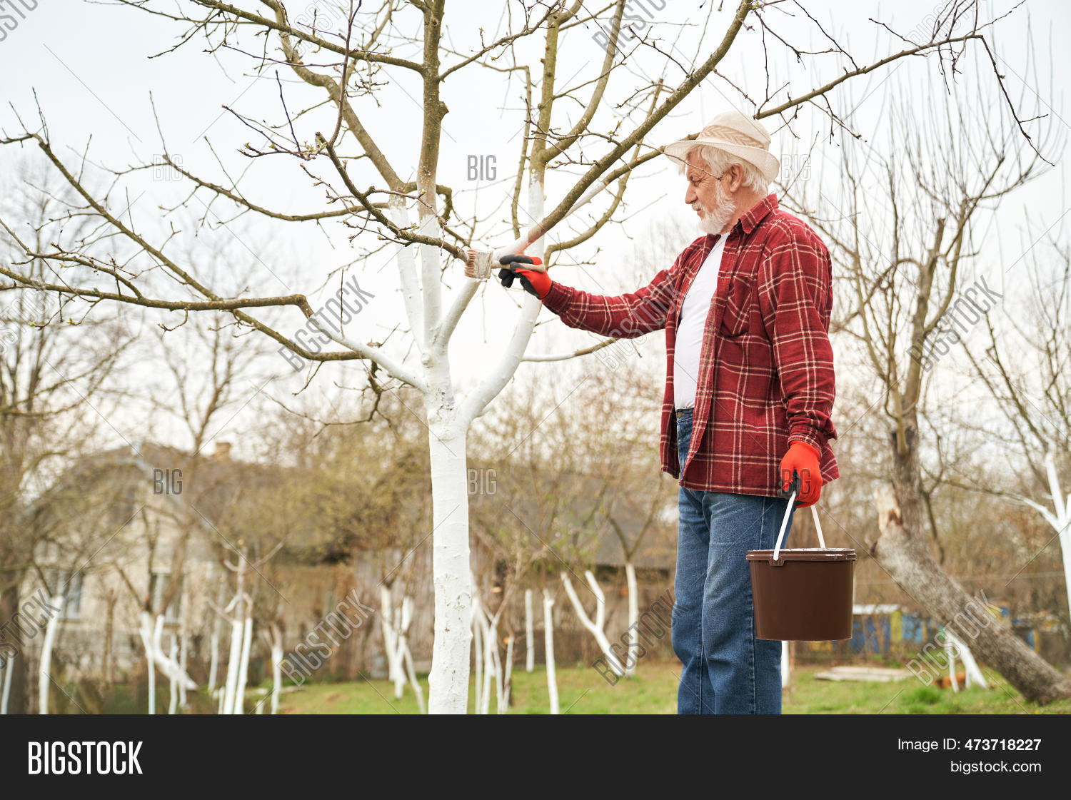 Side View Old Gardener Image & Photo (Free Trial) | Bigstock