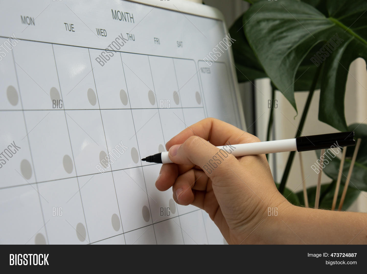 Female Hand Writing Image & Photo (Free Trial) | Bigstock