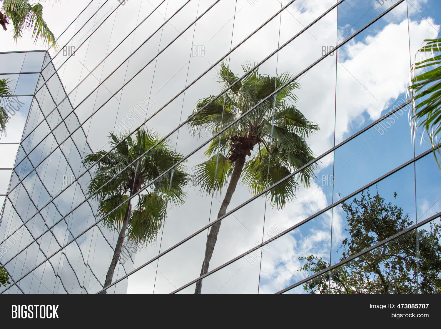 Image Glassy Building Image & Photo (Free Trial) | Bigstock
