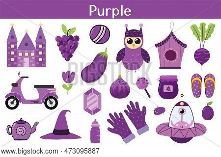 Purple Color 벡터 및 사진(무료 체험) | Bigstock