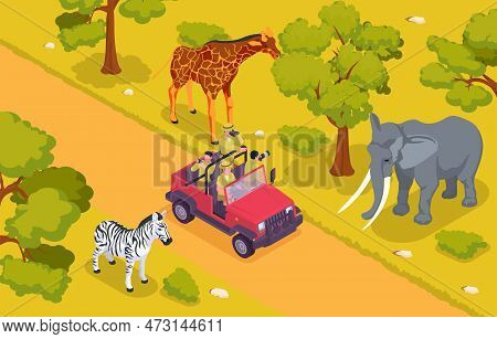 Safari Isometric Vector & Photo (Free Trial) | Bigstock