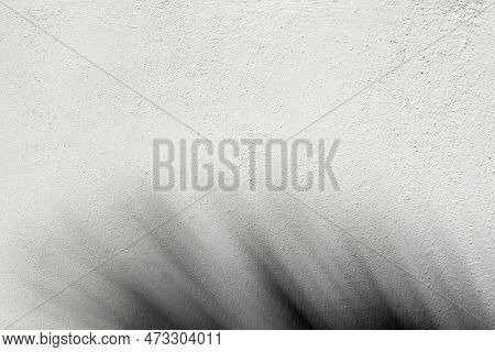 Natural Daylight Image & Photo (Free Trial) | Bigstock
