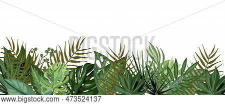 Tropical Leaves Vector & Photo (Free Trial) | Bigstock