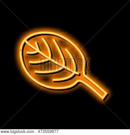 Leaf Spinach Neon Vector & Photo (Free Trial) | Bigstock