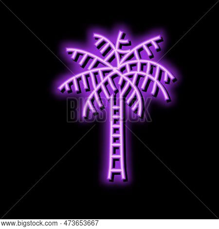 Coconut Palm Tree Vector & Photo (Free Trial) | Bigstock