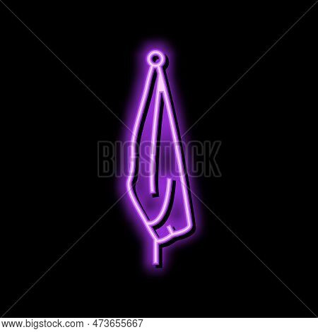 Pole Flag Map Neon Vector & Photo (Free Trial) | Bigstock