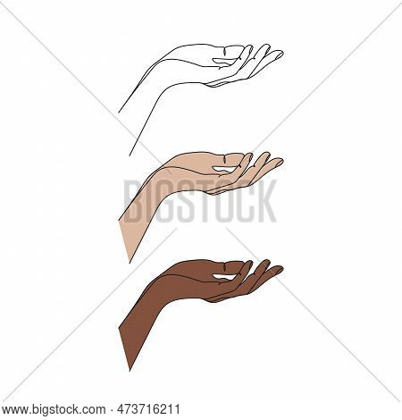 Open Hand Line Drawing