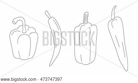 Different Peppers Vector & Photo (Free Trial) | Bigstock