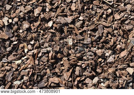 Detail Wood Chip Mulch Image & Photo (Free Trial) | Bigstock