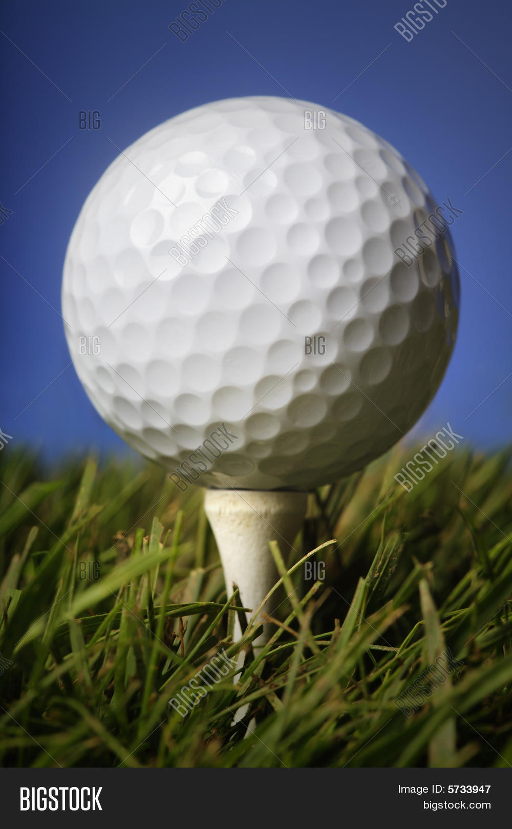 Golf Ball Grass Image & Photo (Free Trial) | Bigstock