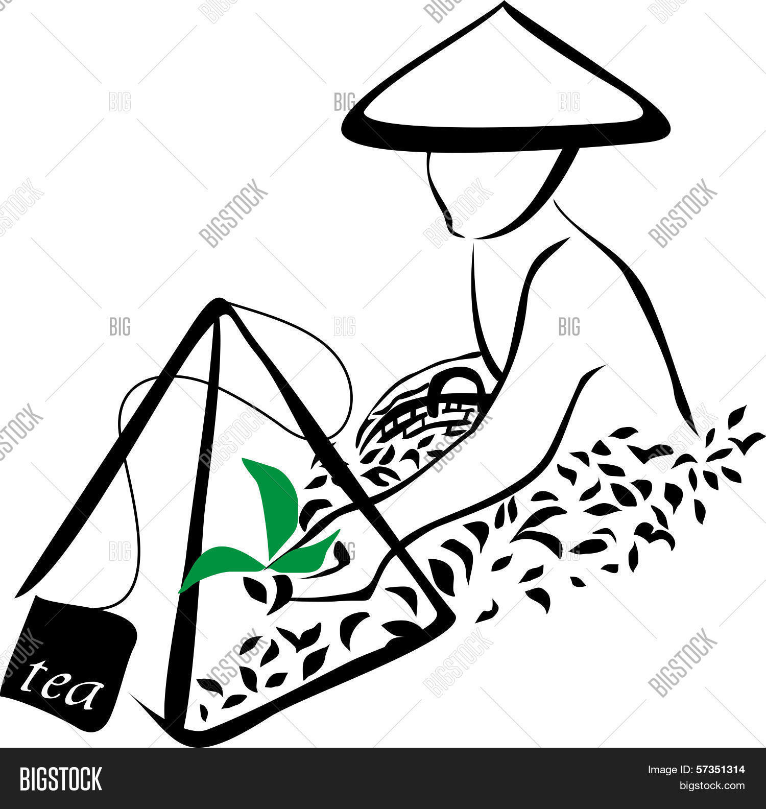 Tea Harvest Sign Vector & Photo (Free Trial) | Bigstock