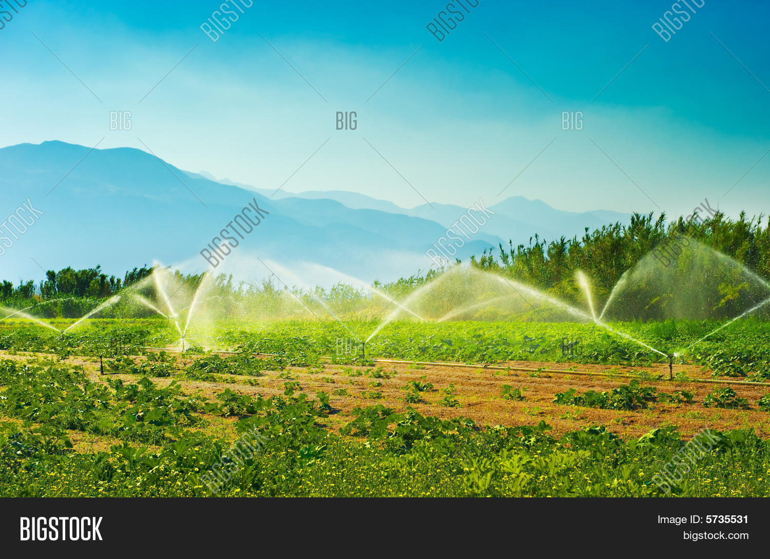 Irrigation Image & Photo (Free Trial) | Bigstock