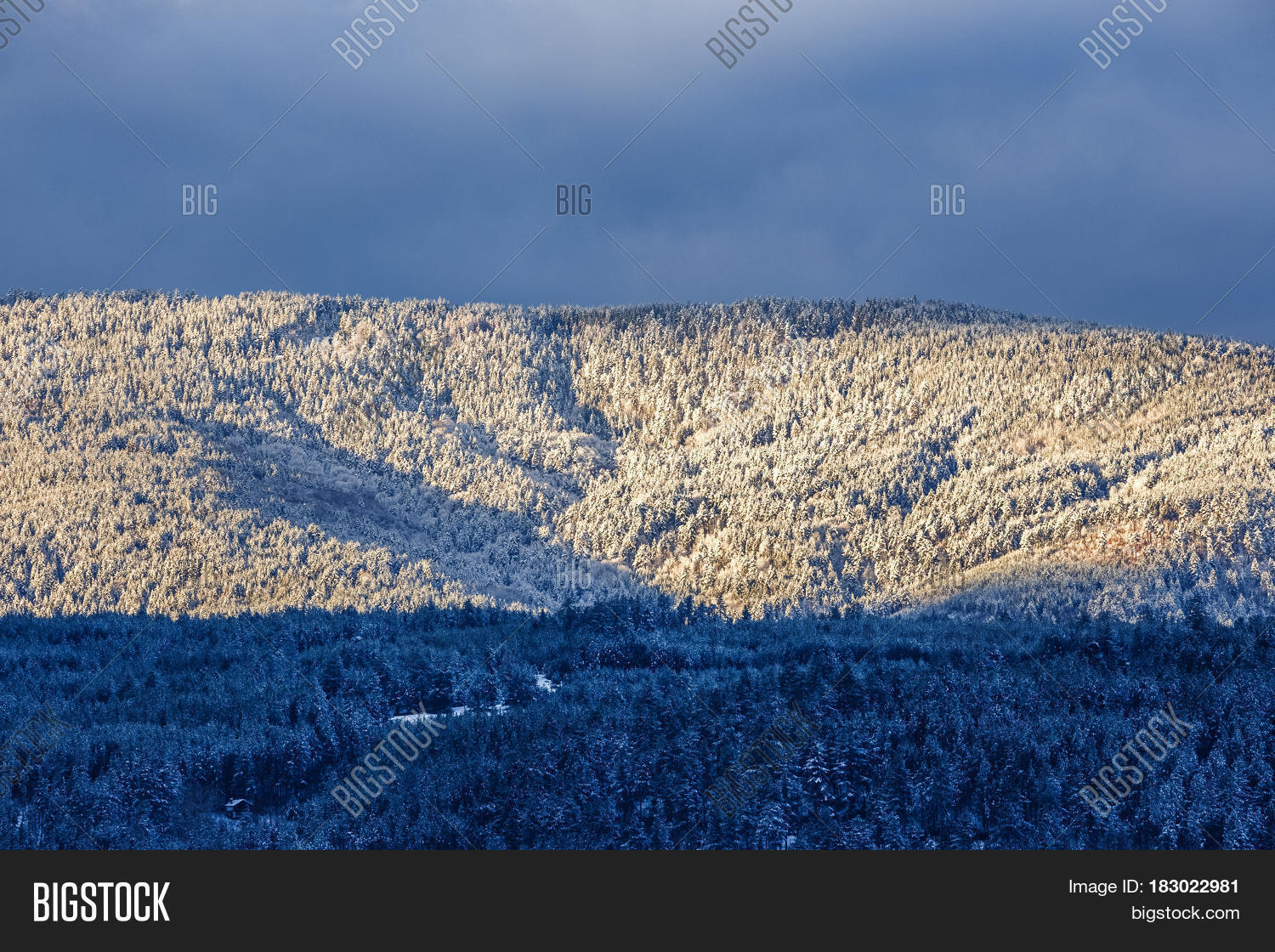 Snow Covered Beautiful Image & Photo (Free Trial) | Bigstock
