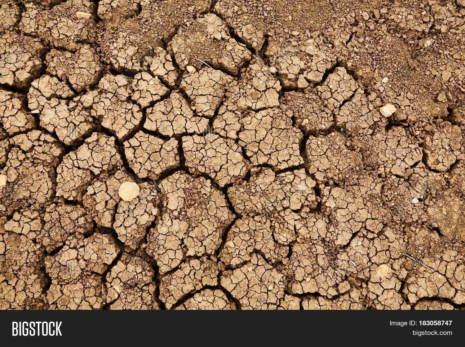 Dried Out Soil Texture Image & Photo (Free Trial) | Bigstock