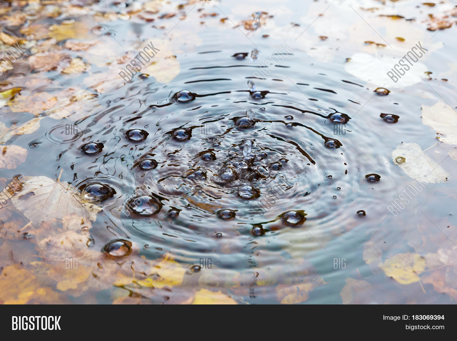 Picture Water Dripping Image & Photo (Free Trial) | Bigstock