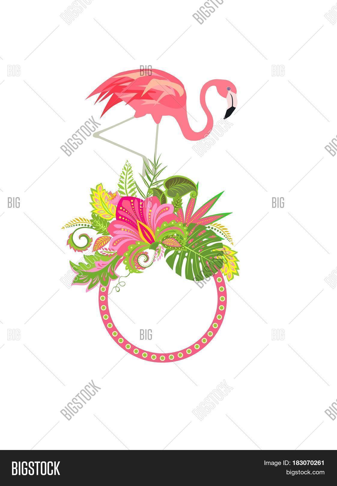 Summery Frame Exotic Image & Photo (Free Trial) | Bigstock